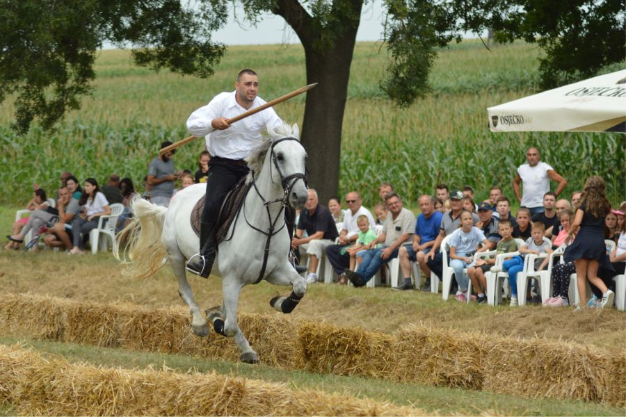 Turistička zajednica Grada Đakova